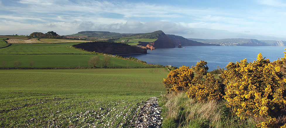 Top free things to do in Devon | Devon days out | Oakdown
